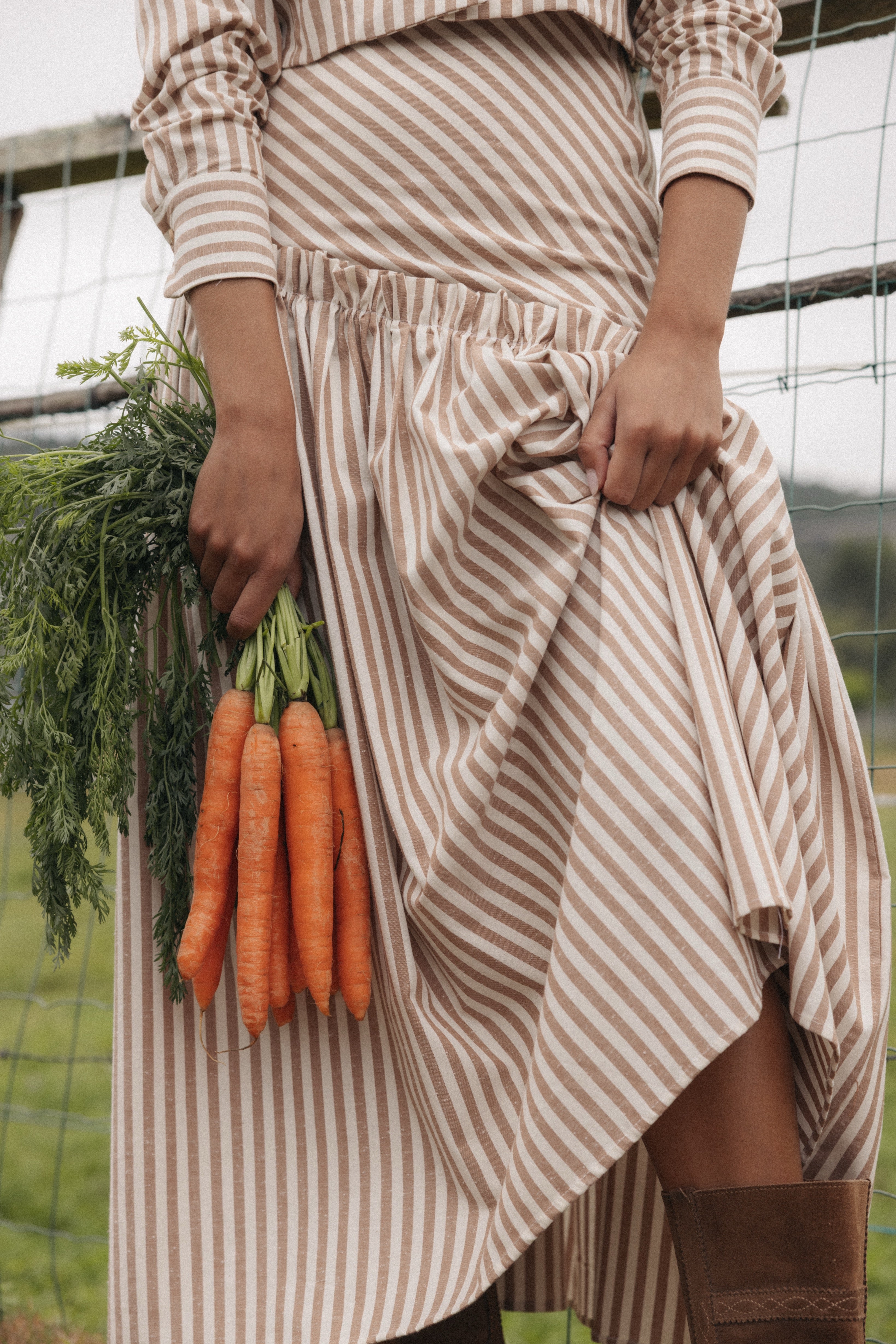 NOVEDADES – nesines